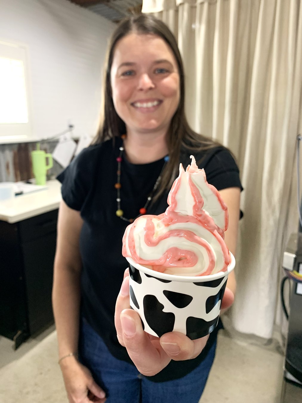 Stuyt Dairy Cheese ice cream launch set - Escalon Times