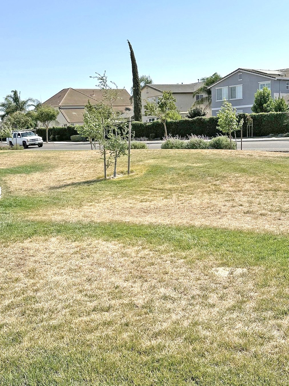 Condition of Ceres’ new $2 million park draws public ire - Ceres Courier