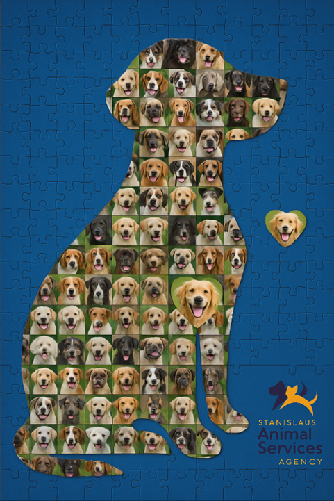 SASA’s One in 1,000 campaign seeks to transform lives through dog ...