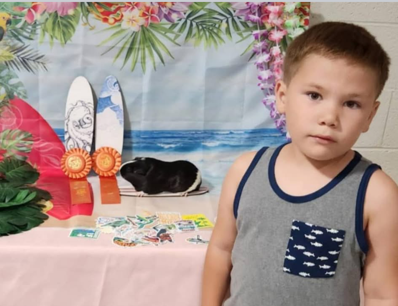 Newman 4-H member shines at San Jose cavy show - Westside Connect