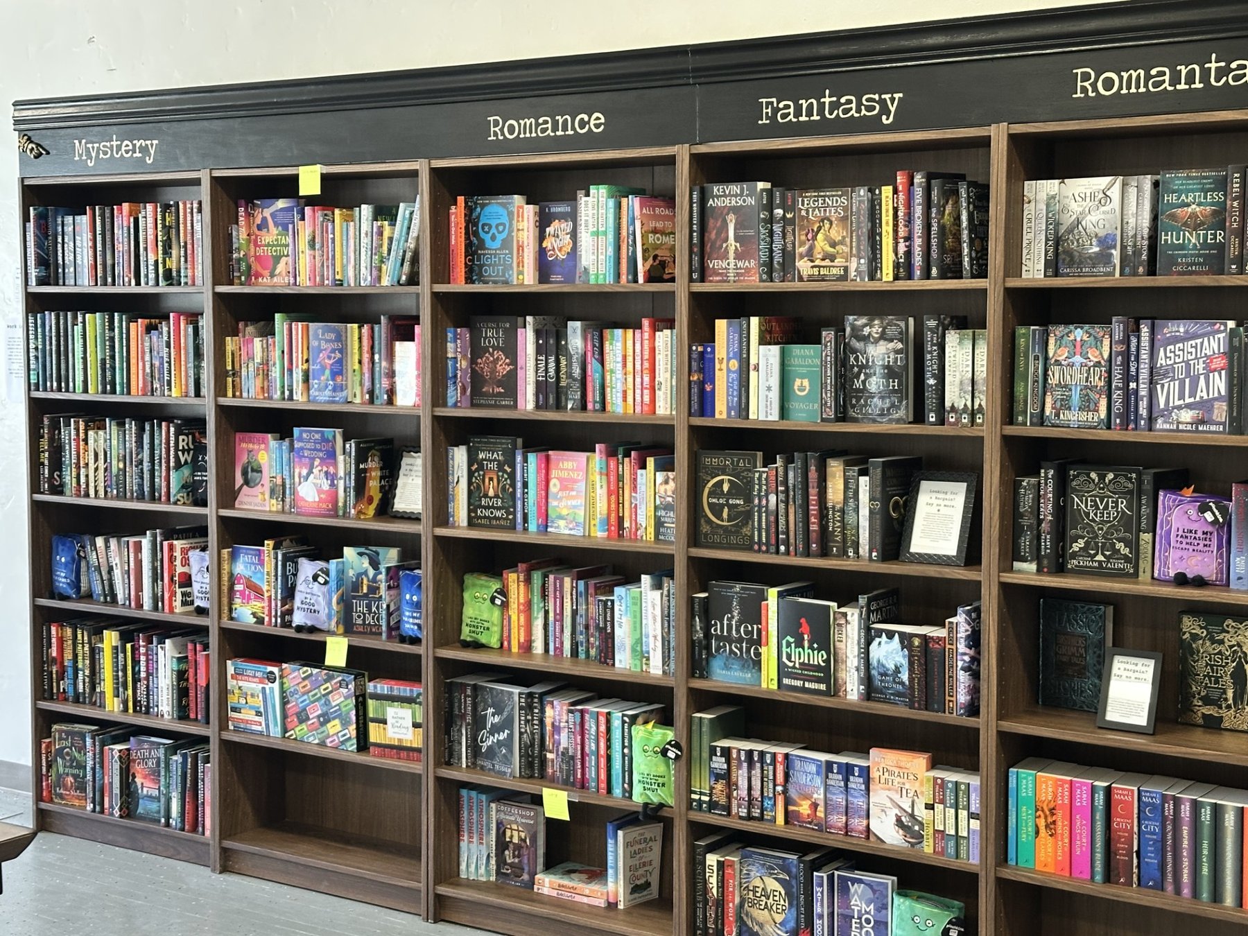 A 34-year dream comes true: New independent bookstore opens in downtown ...