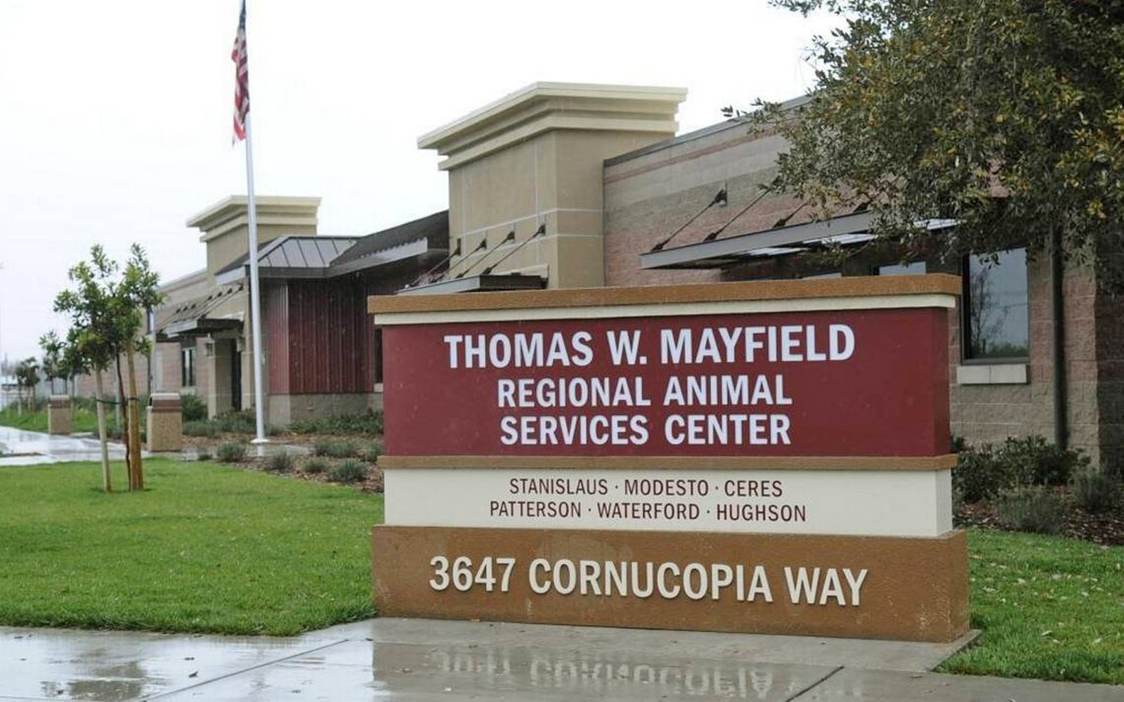 New Animal Services Director Yap updates council on programs, progress ...