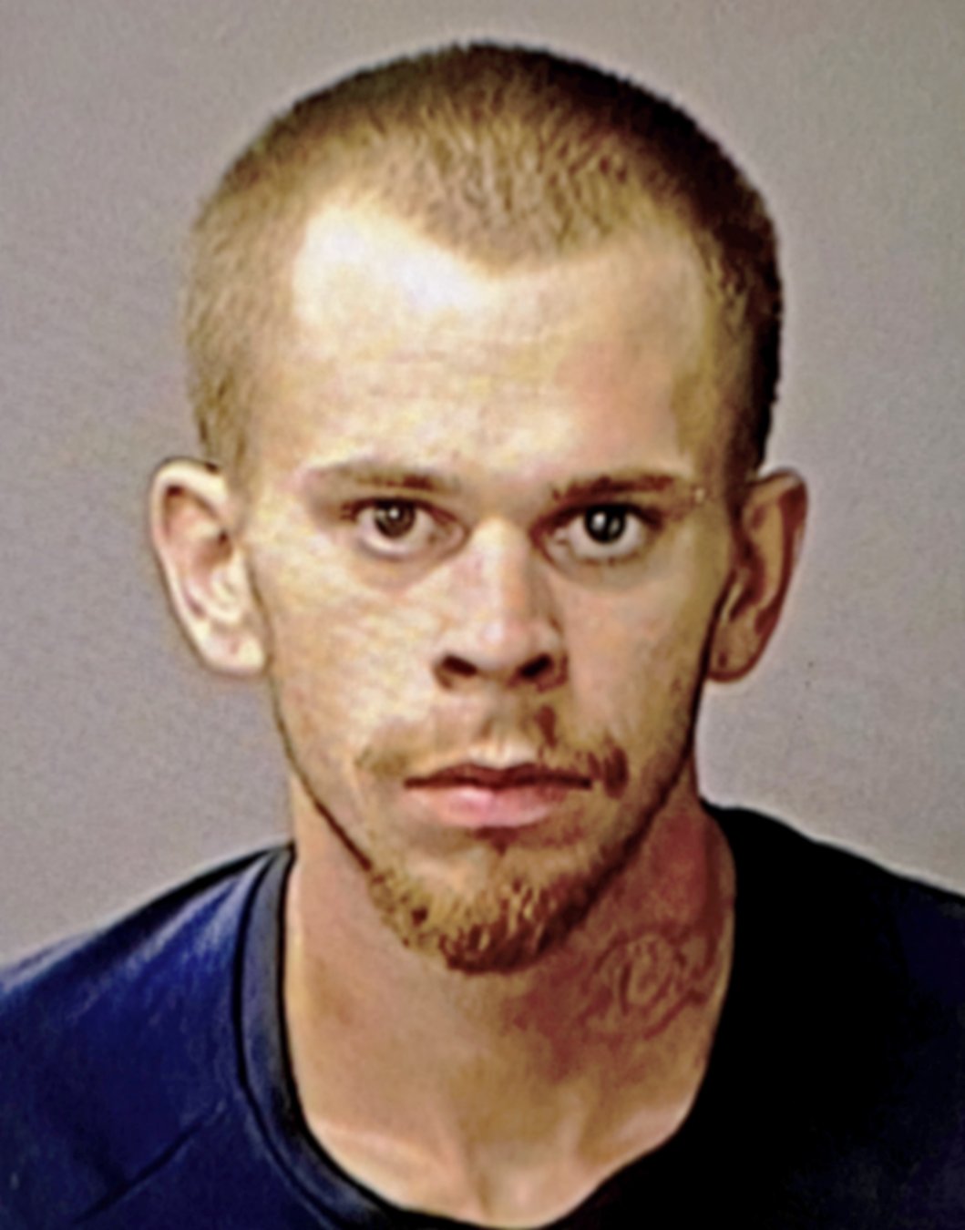 Hughson man shoots at car theft suspect - Turlock Journal
