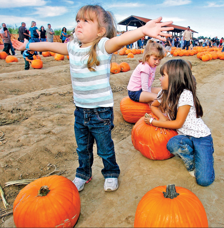 Get ready to harvest low-tech fun & memories at Dell’Osso Family Farm throughout October ...