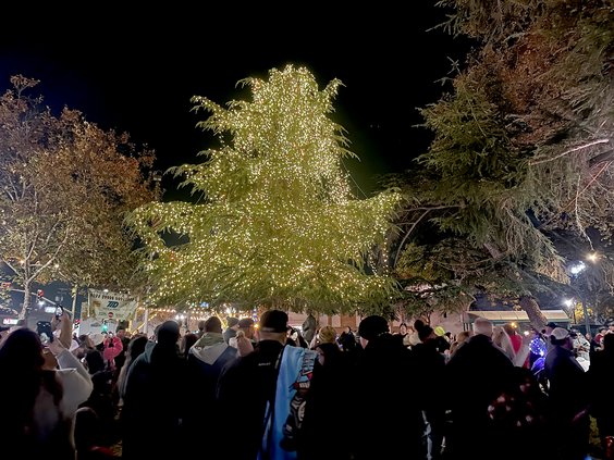 Turlock readies for holiday festivities - Turlock Journal