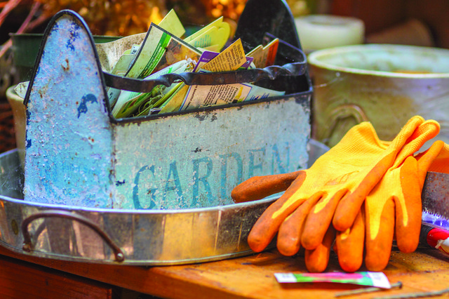 Spring gardening tips, Board Game Day highlight December library events ...