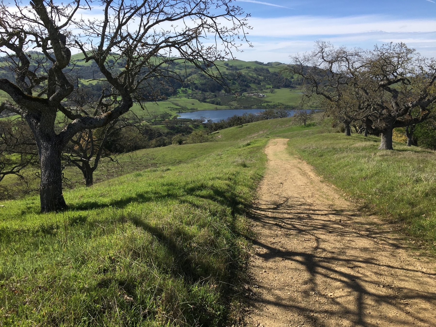 Grant Park will soon be bursting with colorful wildflowers - Escalon Times