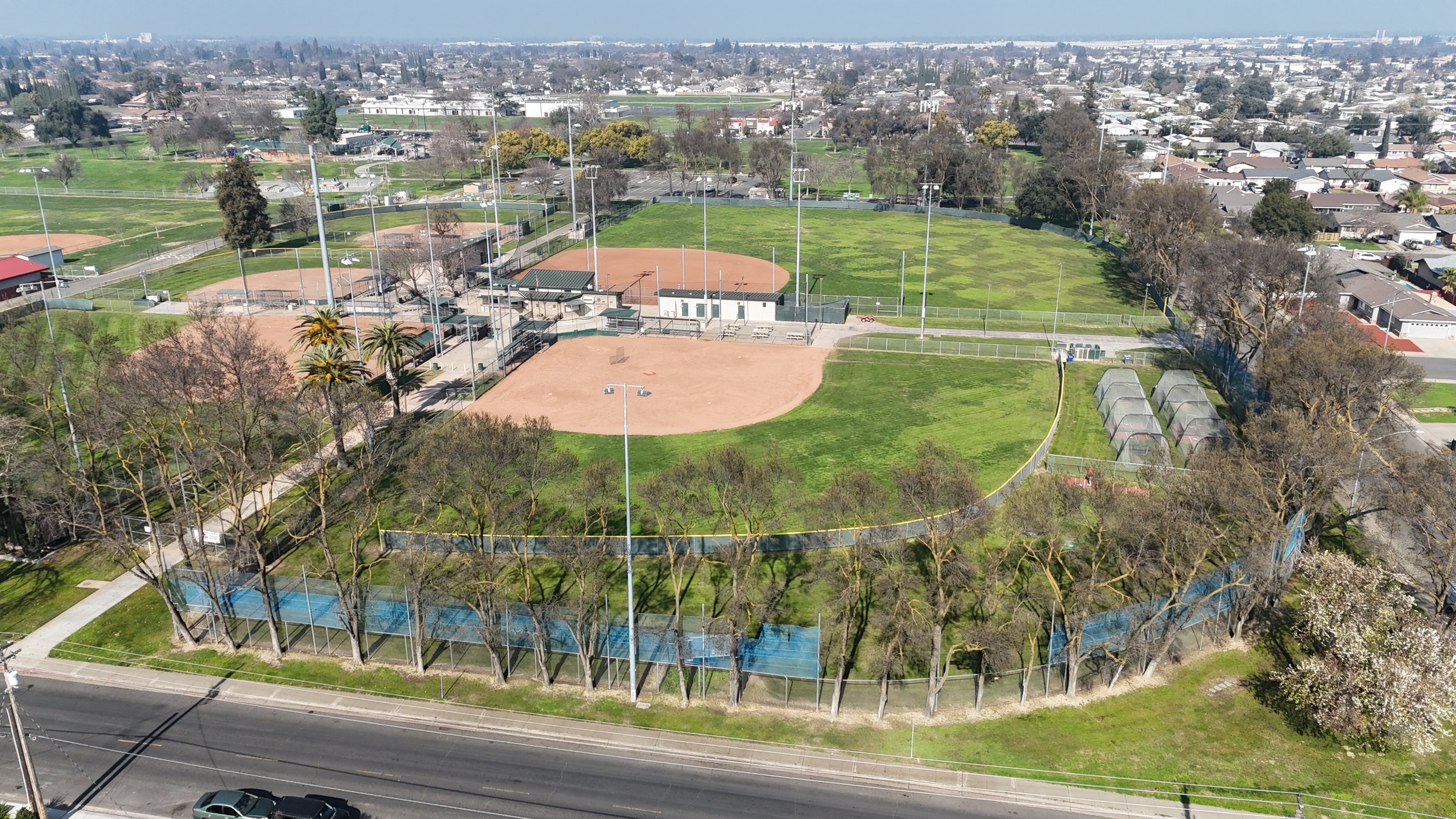 City and CYB officials buttings heads over plan to remove trees at ball ...