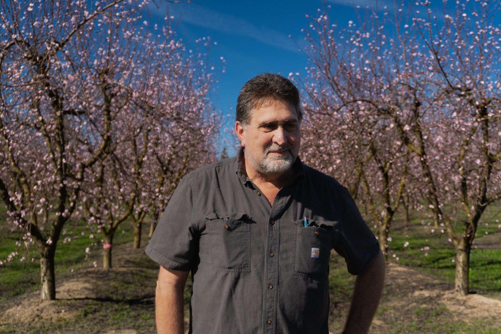 Modesto Del Monte plant closure slams local farmers, growers lose $550M ...