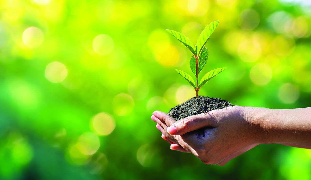 Simple steps to protect the environment - Riverbank News