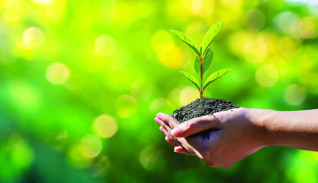Simple steps to protect the environment - Riverbank News