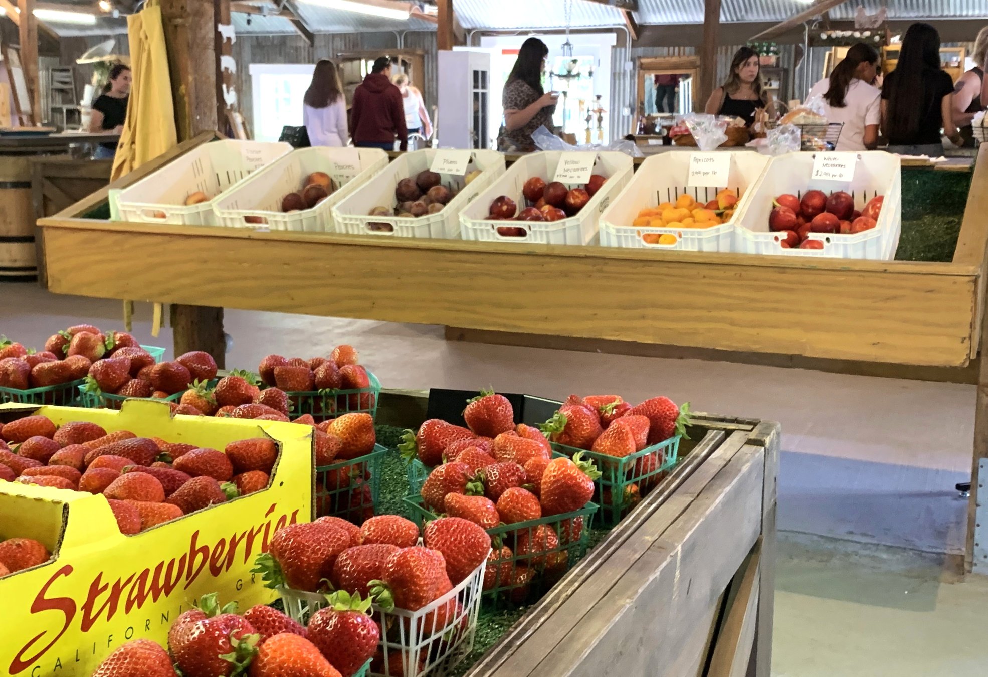 Crowd turns out to support grand opening at ‘The Barn’ - Escalon Times