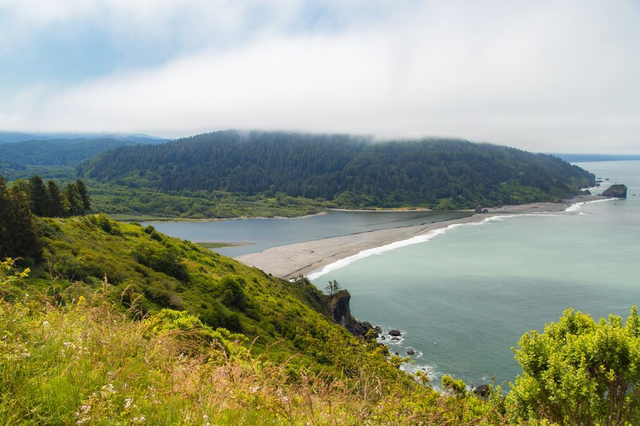 Activities calendar released by California Fish and Wildlife ...