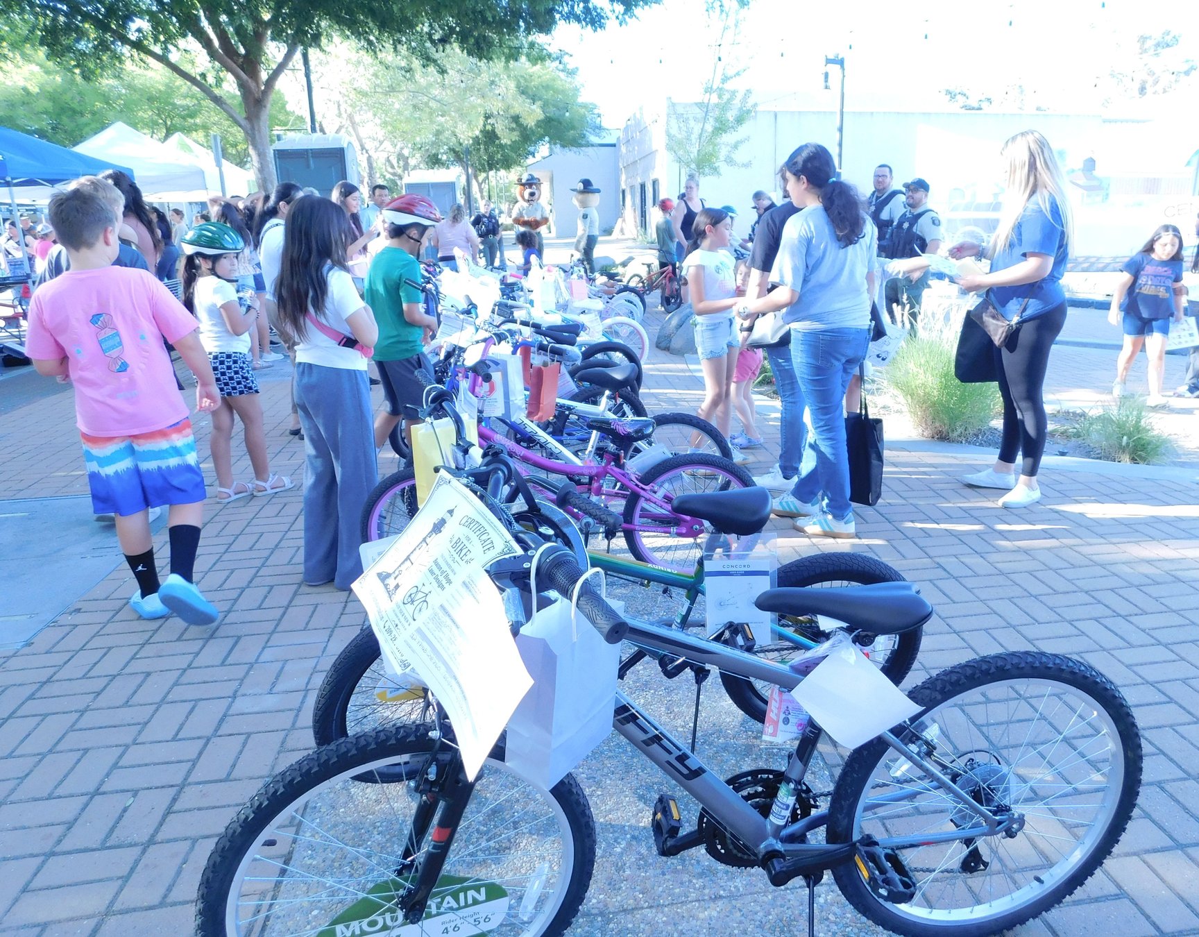 Bicycle rodeo hones riding skills - Riverbank News